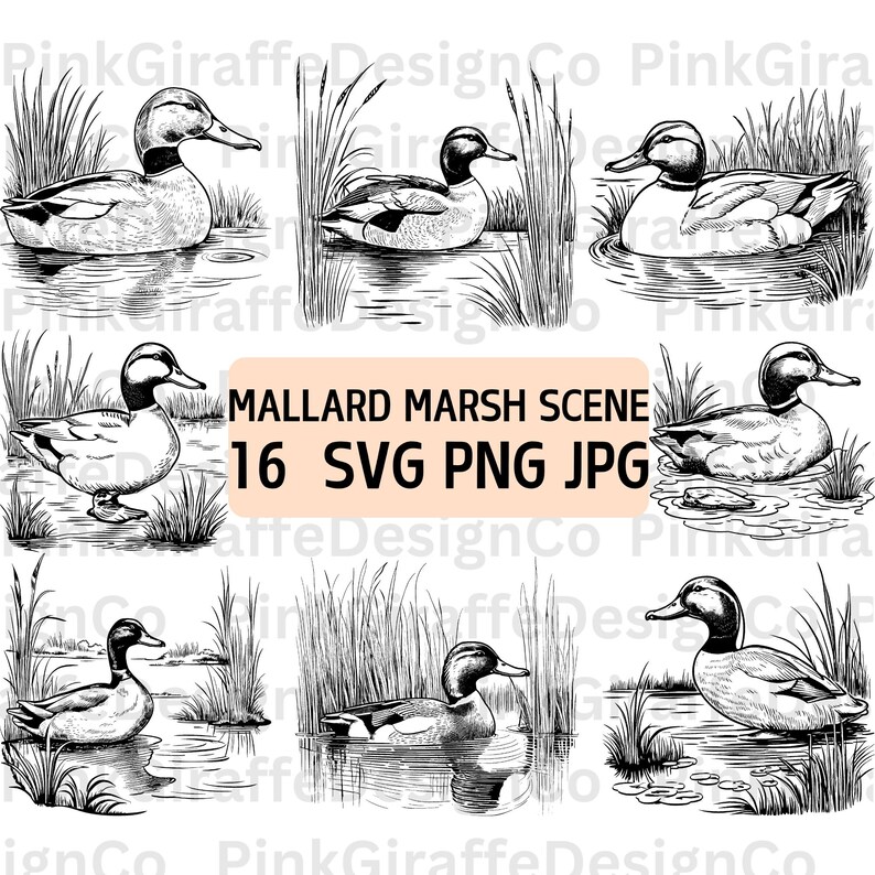 Mallard in the Wilderness Marsh Scene SVG Bundle, Detailed Bird Duck ...