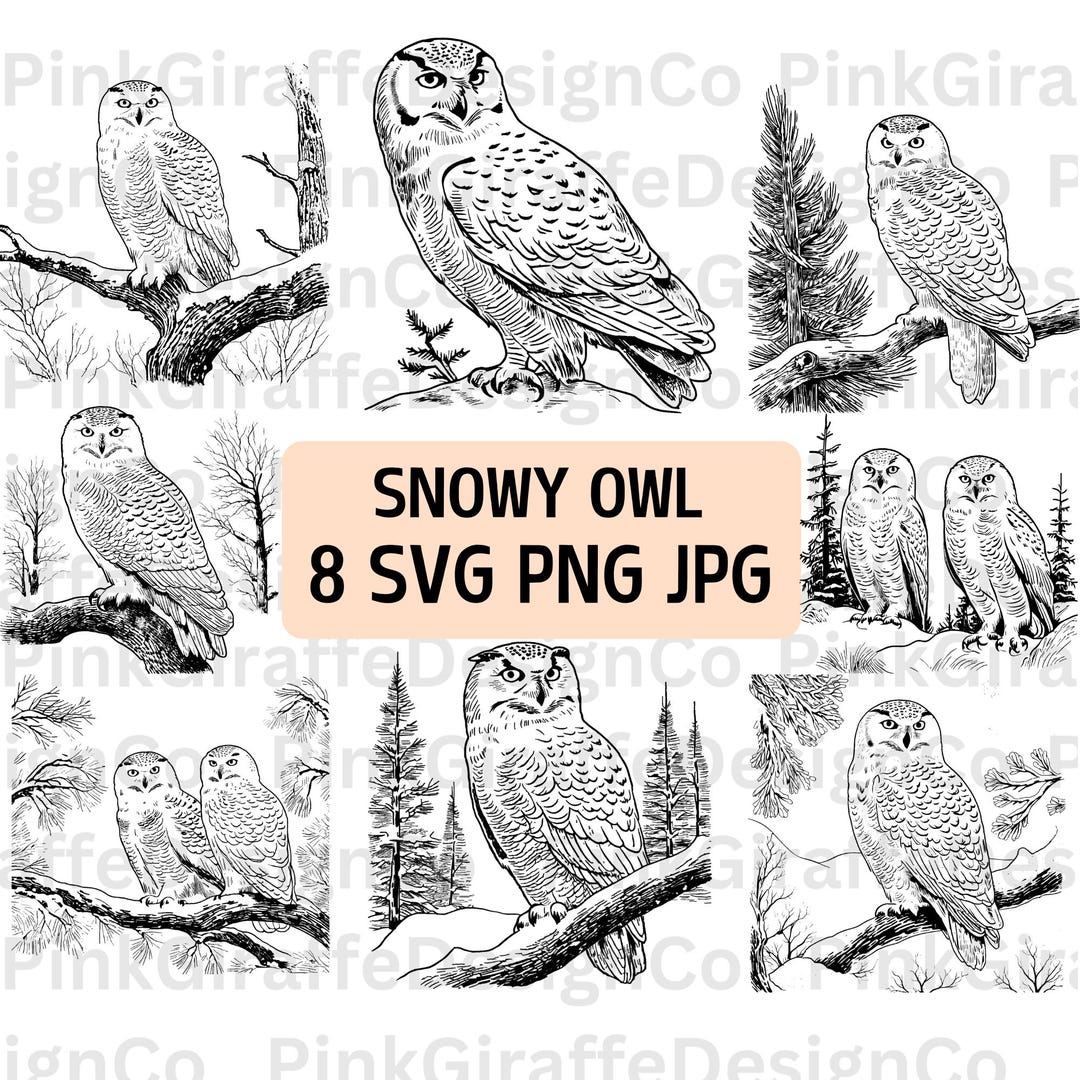 Majestic Snowy Owl SVG Bundle, Detailed Snowy Owl Sketch PNG File, Owl ...