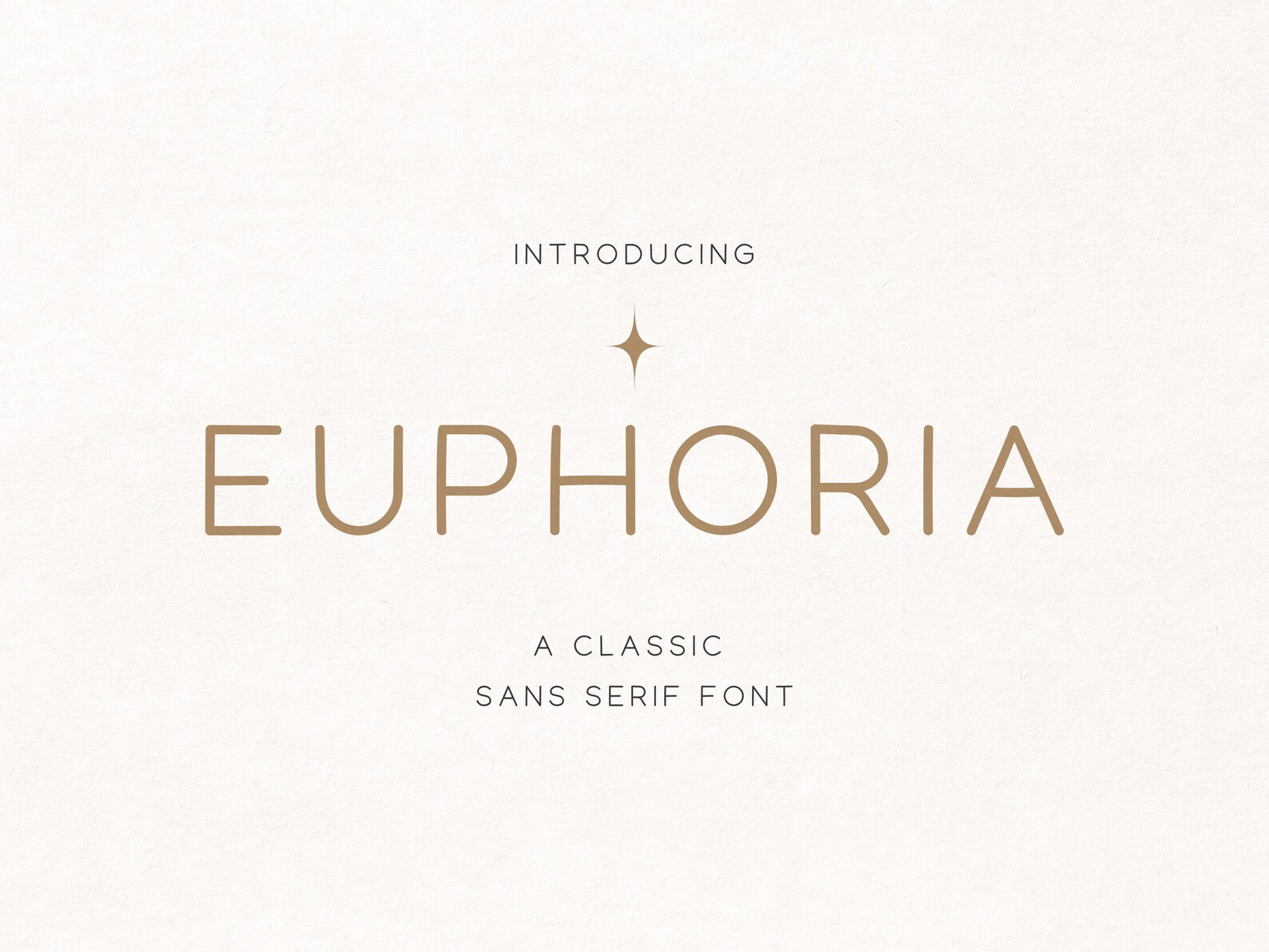 Euphoria Font, Sans Serif Font, Serif Font, Modern Font, Handwritten ...