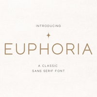 Unmatched - Stylish Display Font | Fashion Font, Modern Font, Elegant ...