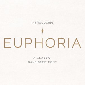 Euphoria Font, Sans Serif Font, Serif Font, Modern Font, Handwritten ...