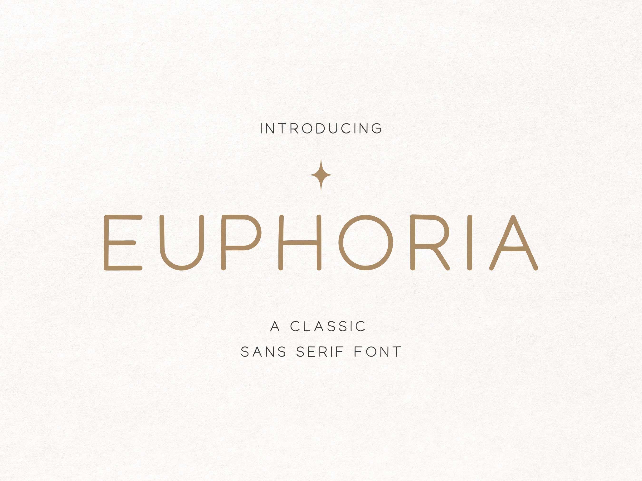 Euphoria Font, Sans Serif Font, Serif Font, Modern Font, Handwritten ...