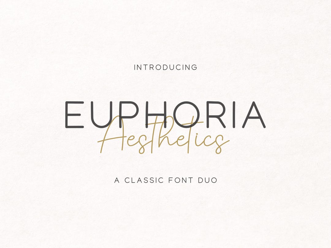 Euphoria Aesthetics Font Duo, Script Font, Sans Serif Font, Modern Font ...