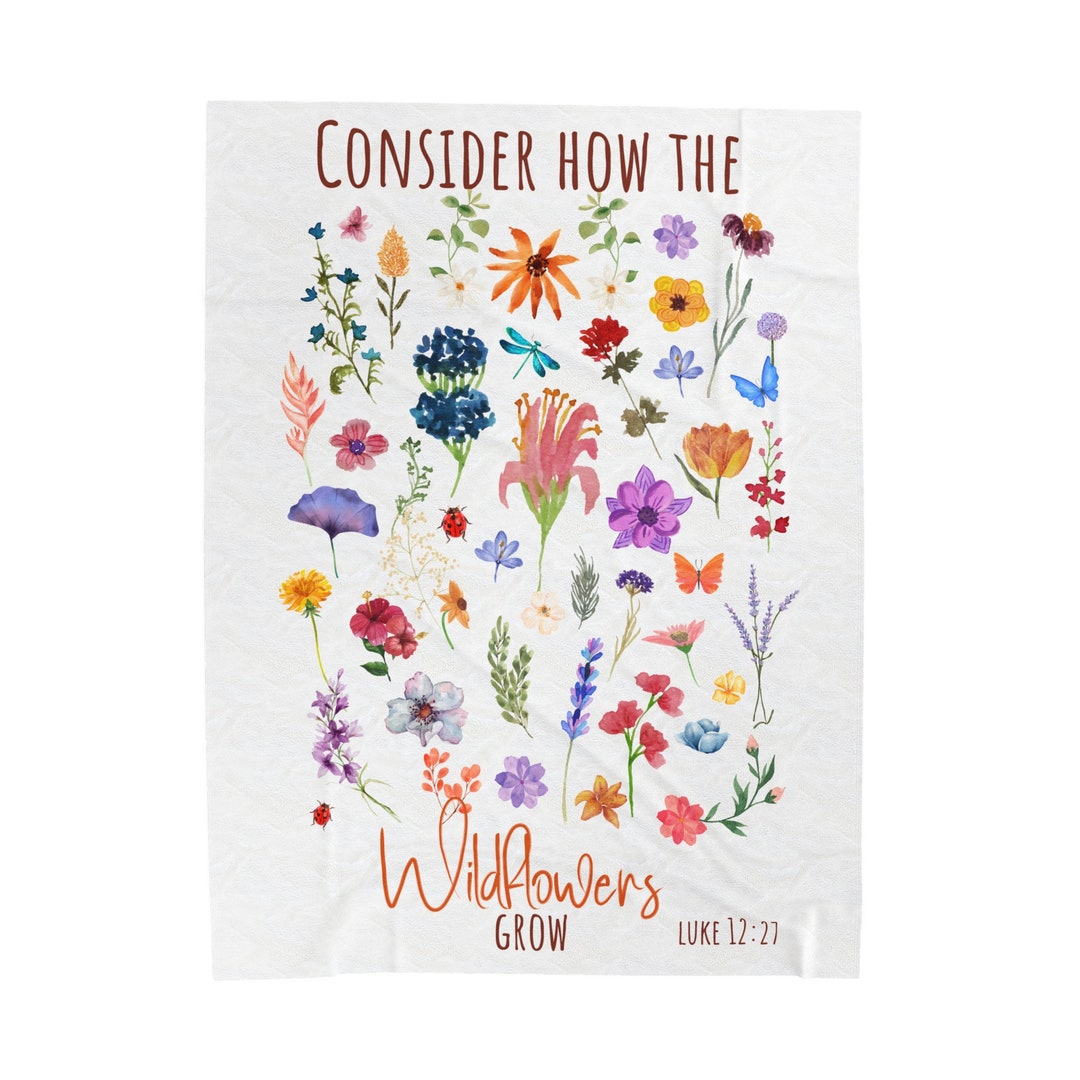 Consider the Wildflowers, Consider the Lilies, Wildflower, Luke 12:27 ...