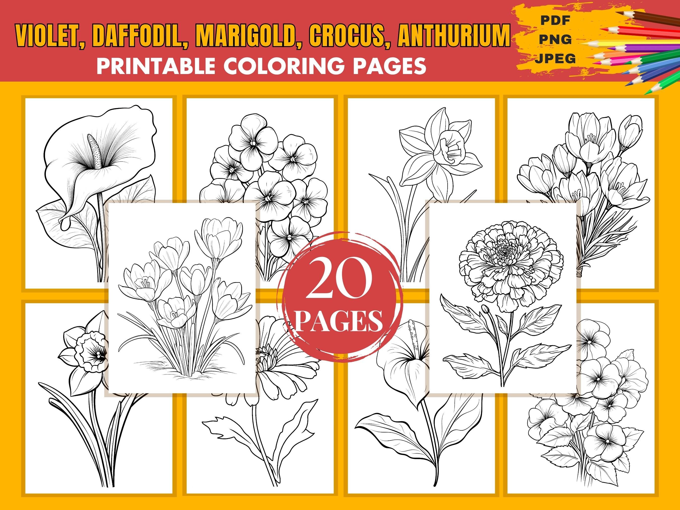 Flowers Coloring Pages 20 Printable Pages Floral Botanical ...