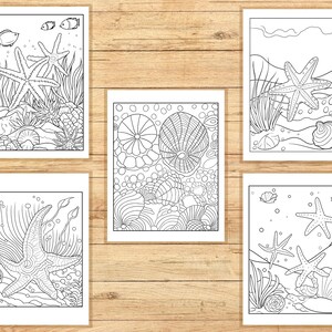 Seashell Coloring Pages, 15 Printable Ocean Themed Coloring Pages ...