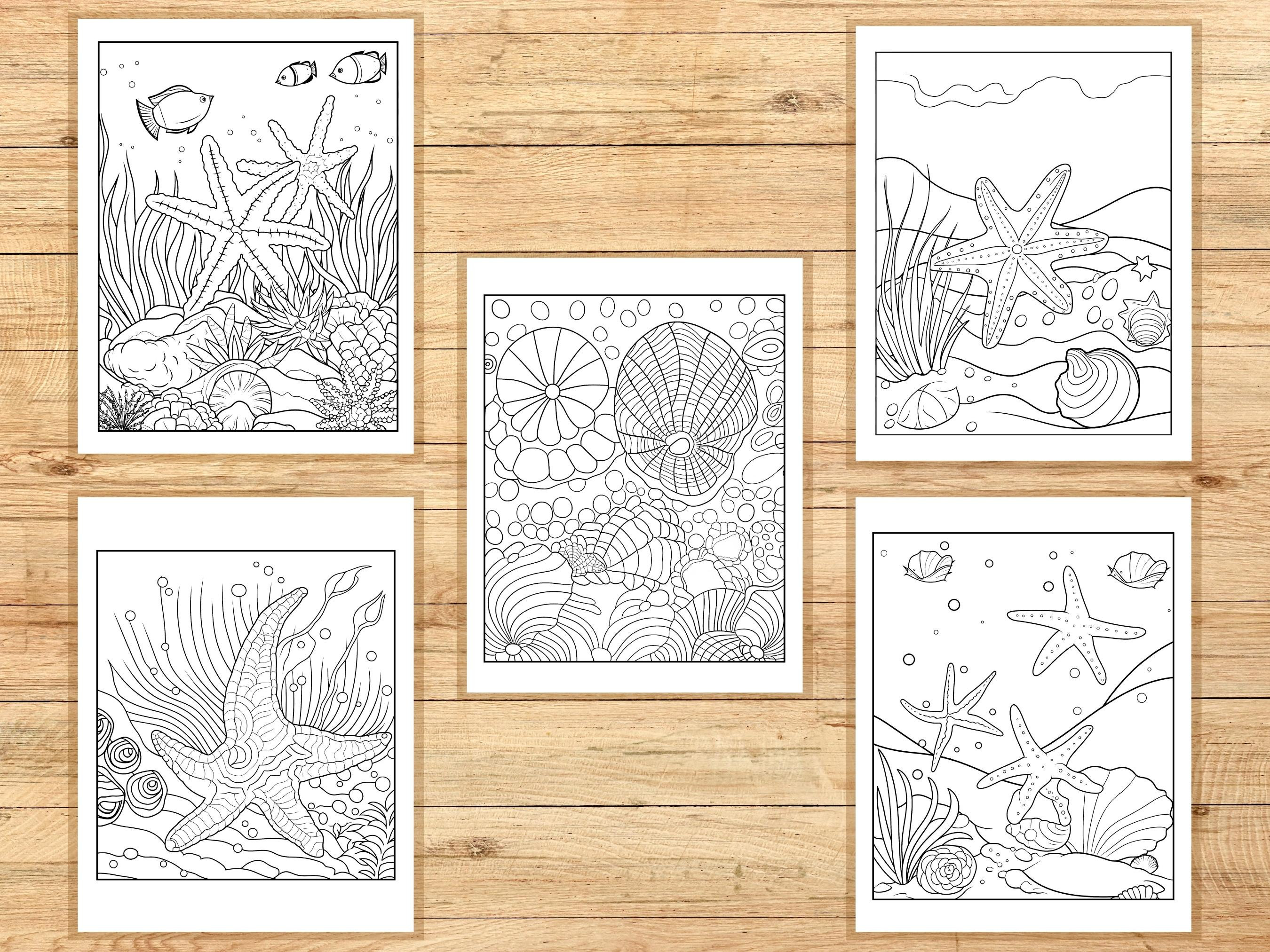 Seashell Coloring Pages, 15 Printable Ocean Themed Coloring Pages ...