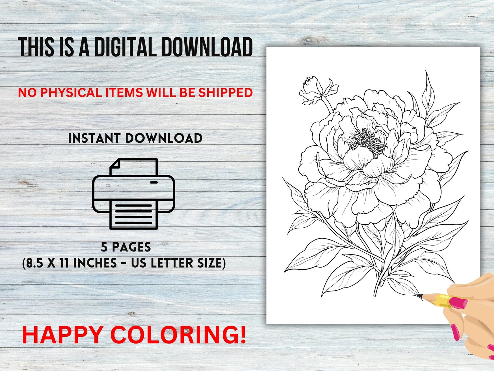 Peony Coloring Page, 5 Printable Pages, Flower Coloring Pages, Floral ...