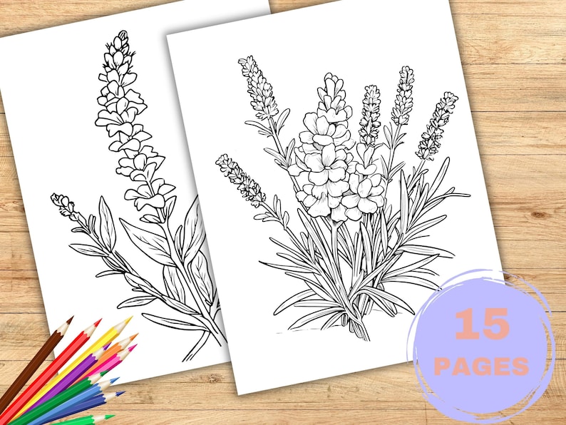 Lavender Coloring Pages 15 Printable Pages Lavender Flower - Etsy