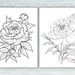 Peony Coloring Page, 5 Printable Pages, Flower Coloring Pages, Floral ...