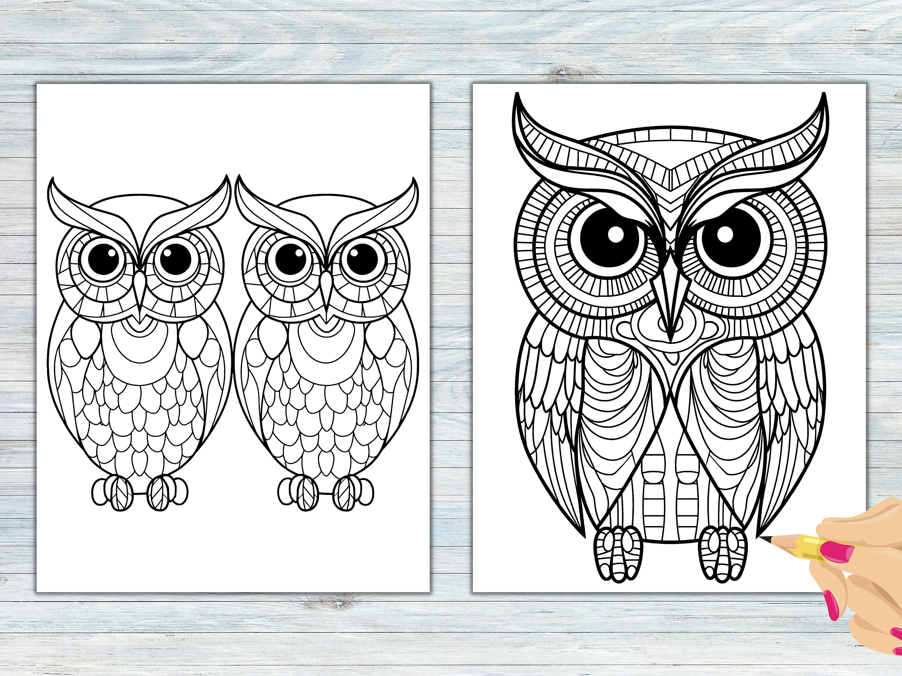 Owls Coloring Pages, 5 Printable Coloring Pages for Kids and Adults ...