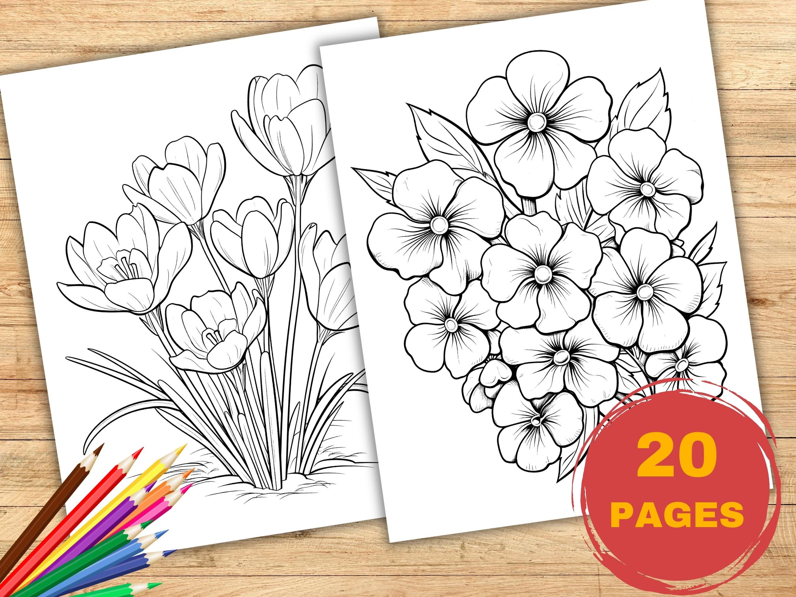 Flowers Coloring Pages 20 Printable Pages Floral Botanical ...
