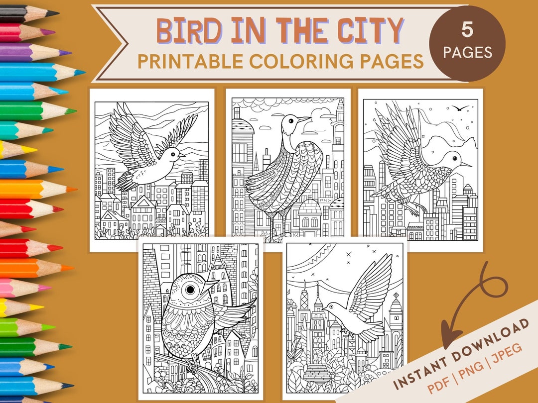 Bird in the City Coloring Pages, 5 Printable Sheets, Detailed, Town ...