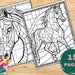 Stained Glass Horse Pattern Coloring Page, 15 Printable Pages, PDF ...