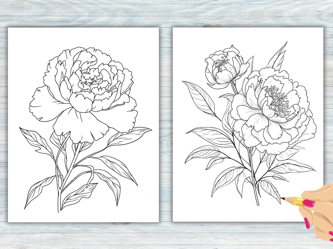 Peony Coloring Page, 5 Printable Pages, Flower Coloring Pages, Floral ...