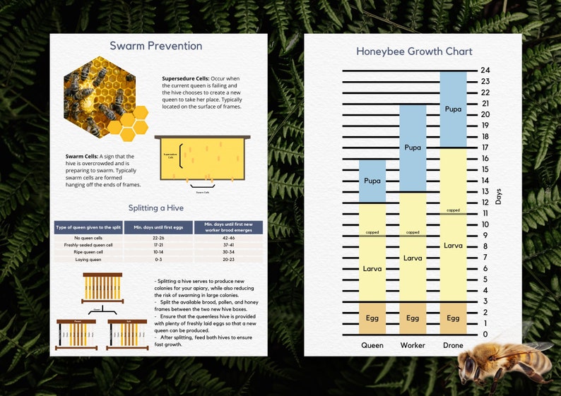 Apiary Journal Beekeeping Log & Colony Tracker - Printable PDF - 6 In ...