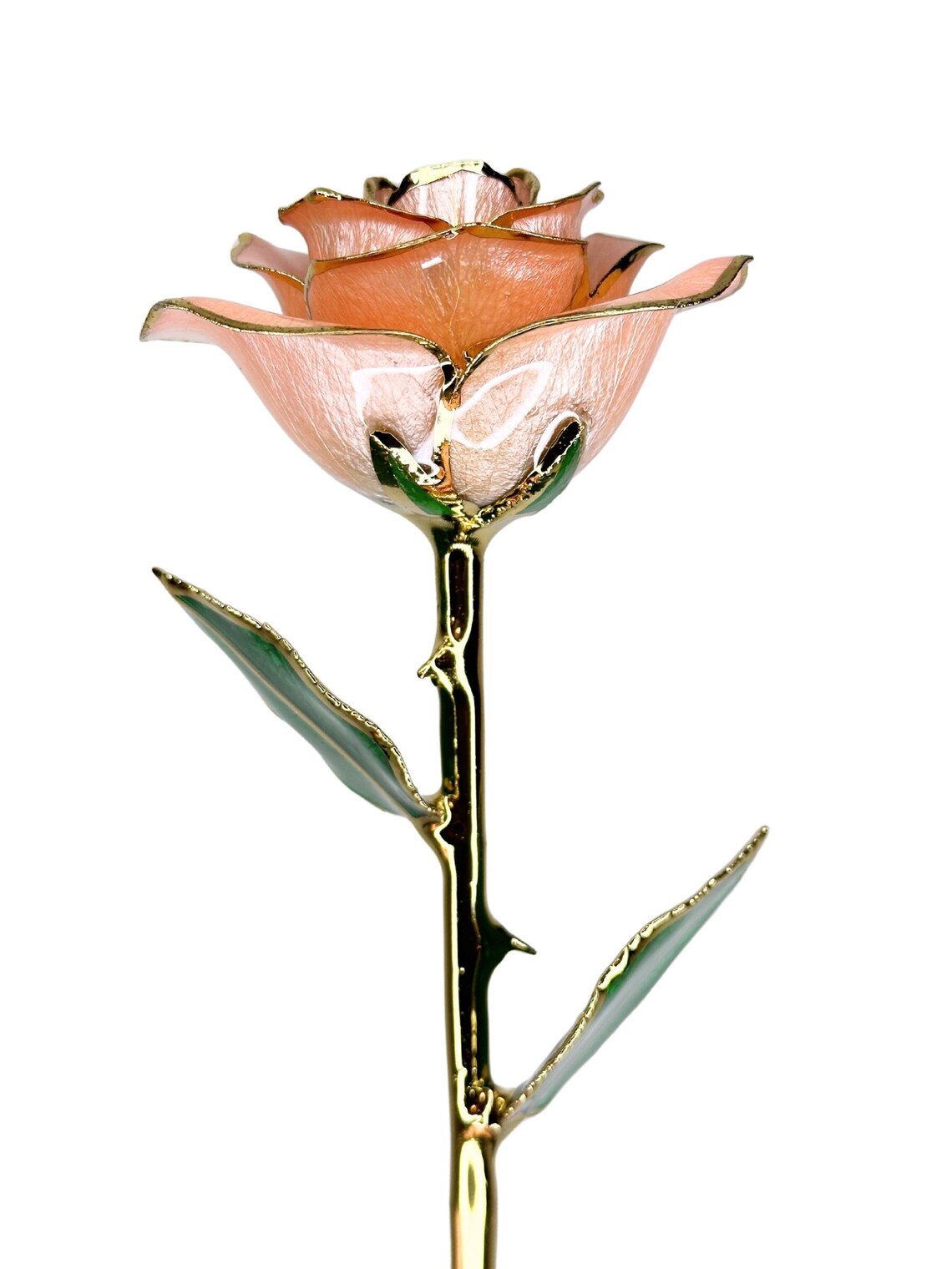 Pink Everrose- Open Bud 30cm Real Rose Dipped in 24k Gold Foil Rose ...