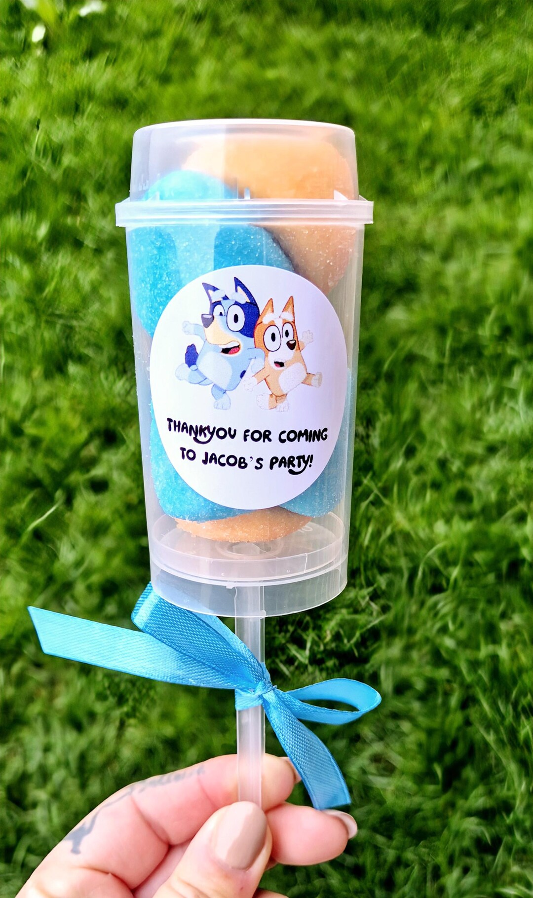 Bluey-inspired Sweet Push Pops- Personalised Bluey-themed Sweet Favours ...