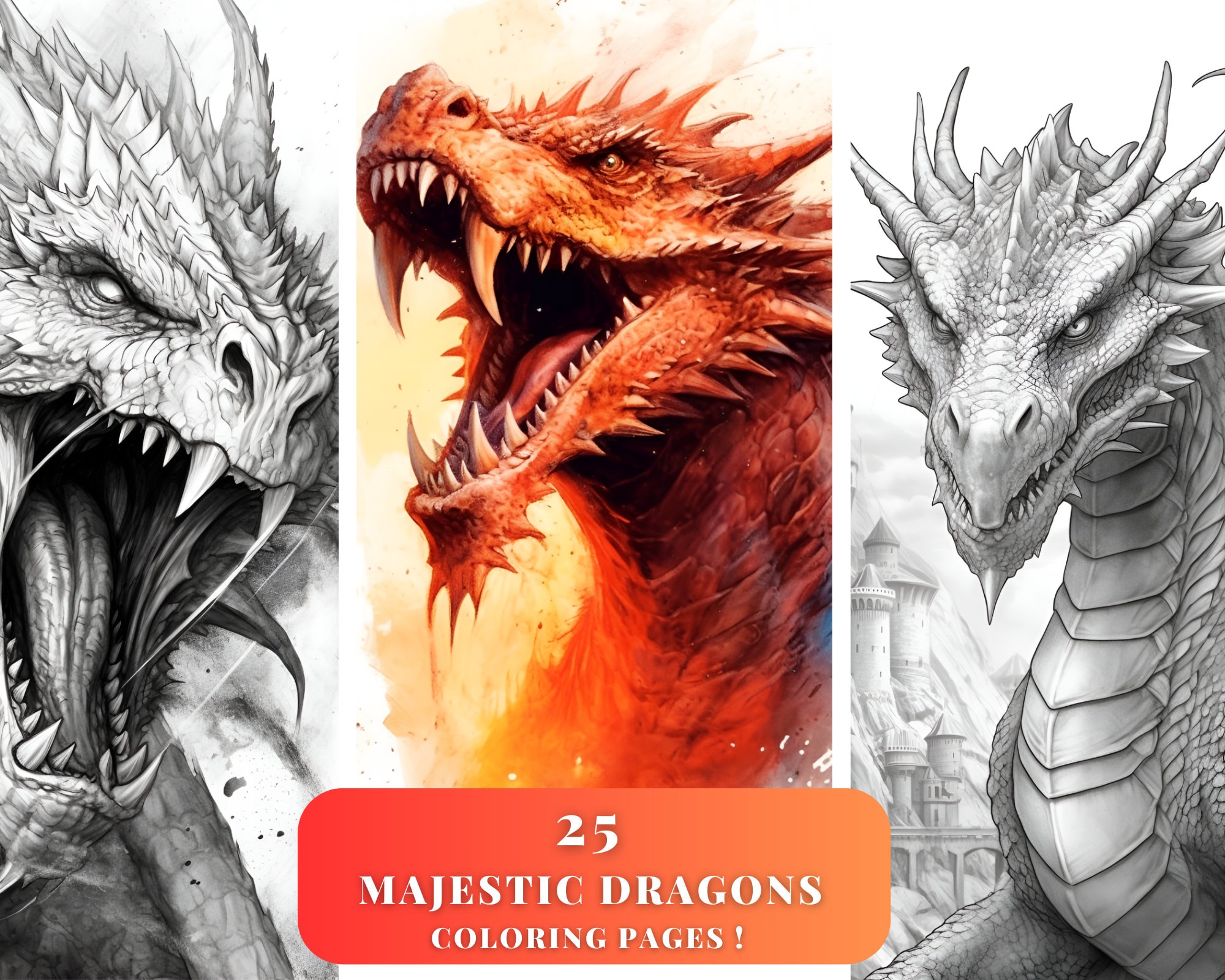 MAXI PACK 25 Majestic Dragons Coloring Pages Printable - Etsy