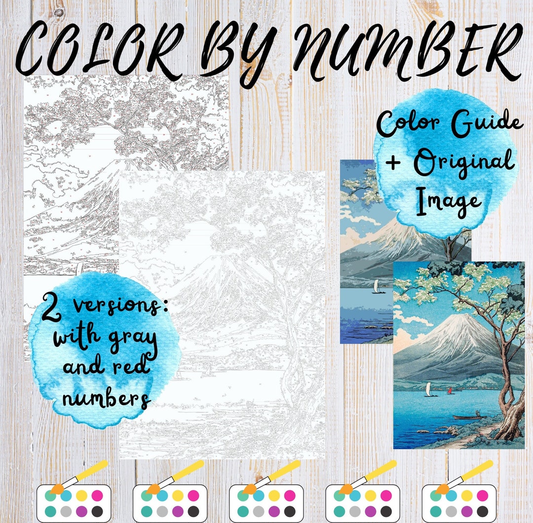 Color by Number for Adults Paint by Number Printable - Etsy