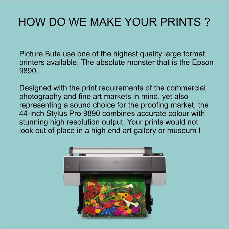 Highland Cow Print: Scottish Humorous Art, Buckfast Wine - Etsy UK