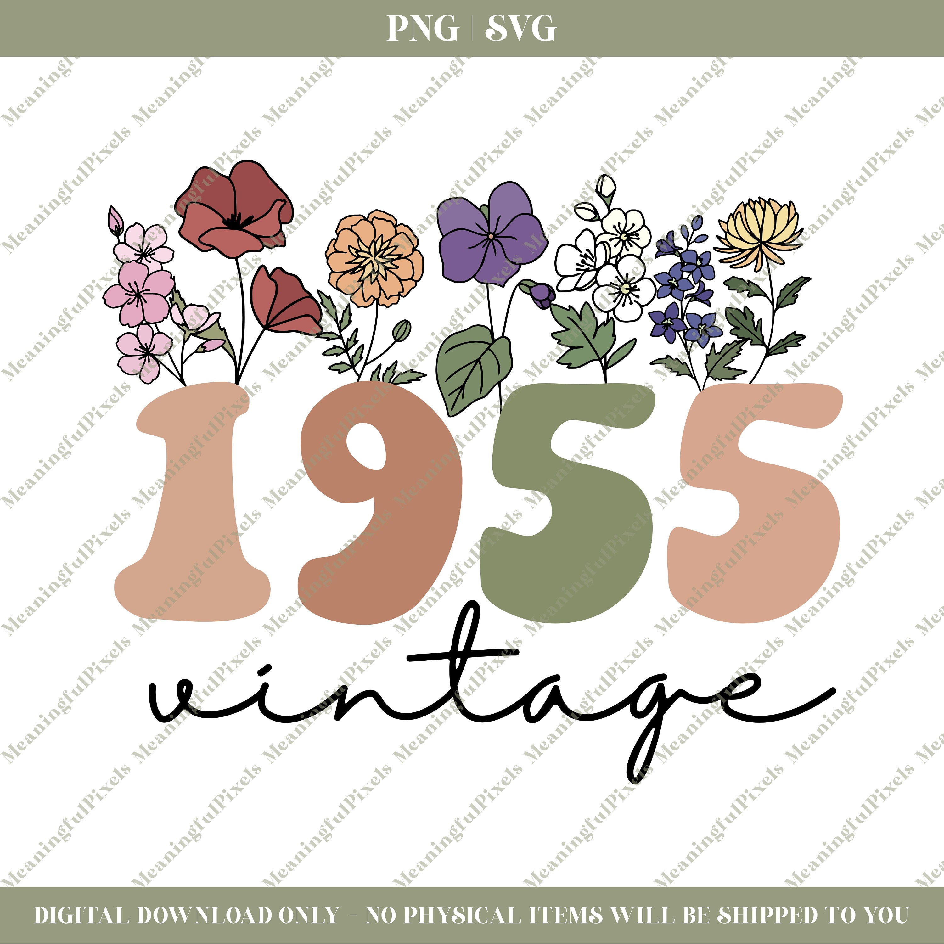 Vintage 1955 SVG & PNG - Etsy