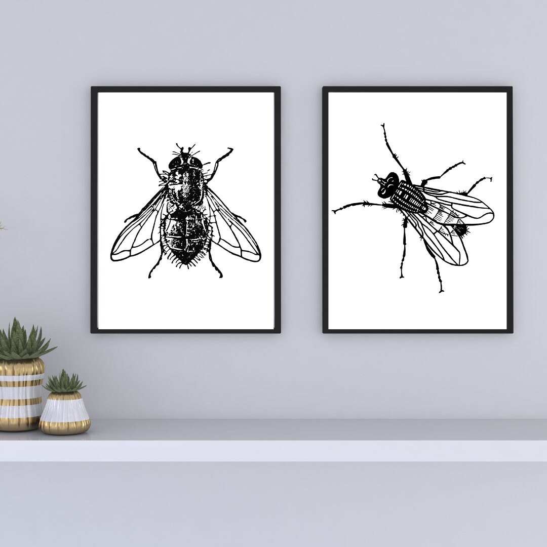 Fly Print Set, Fly Wall Art, Fly Wall Art Digital Download, Fly Wall ...
