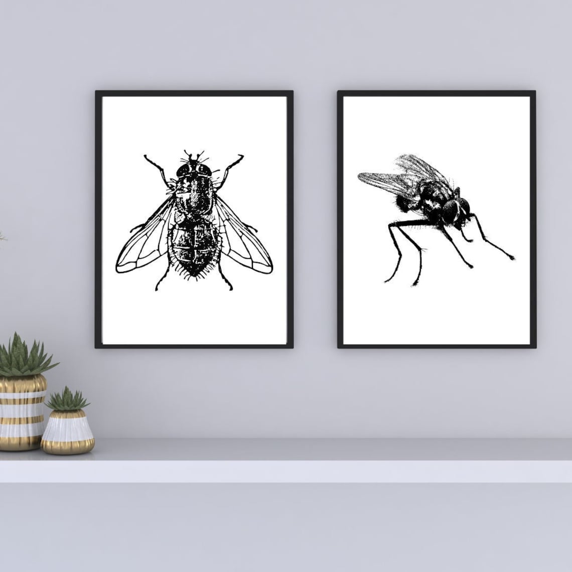 Fly Print Set, Fly Wall Art, Fly Wall Art Digital Download, Fly Wall ...