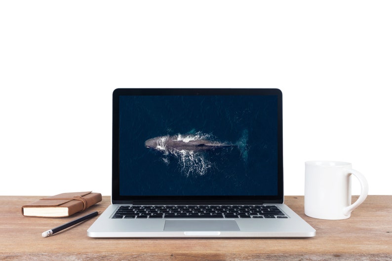 Sperm Whale Printable Digital Download - Etsy