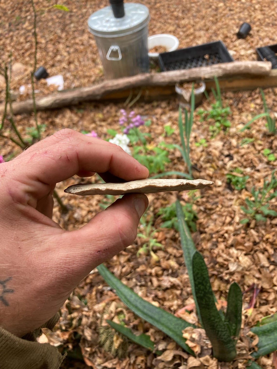 Ancient Pre-colombian Kansas Native American Ovate Stone Knife Blade ...