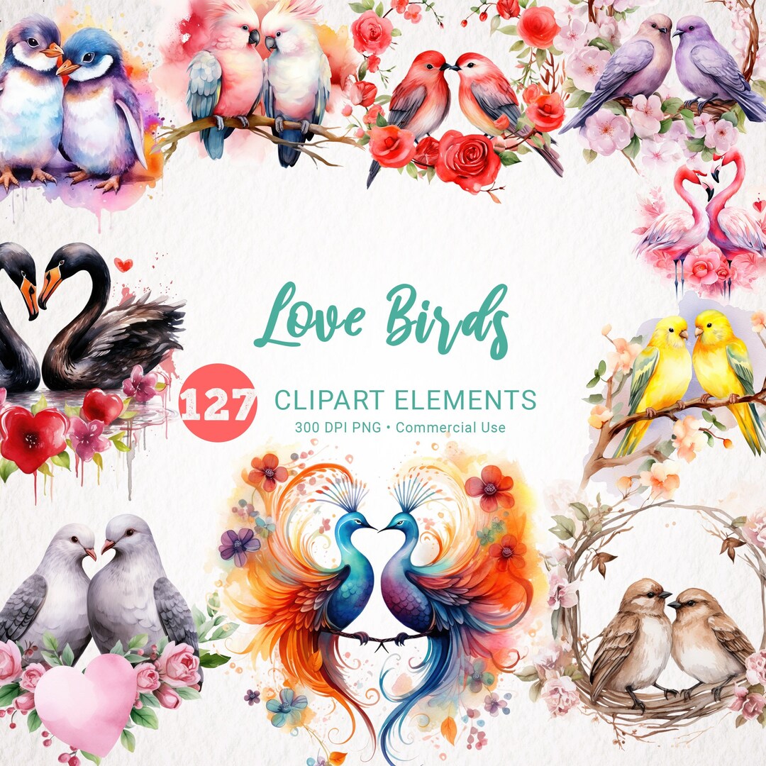 Love Birds Watercolor Clipart Mega Bundle - 127 Transparent PNG Images ...