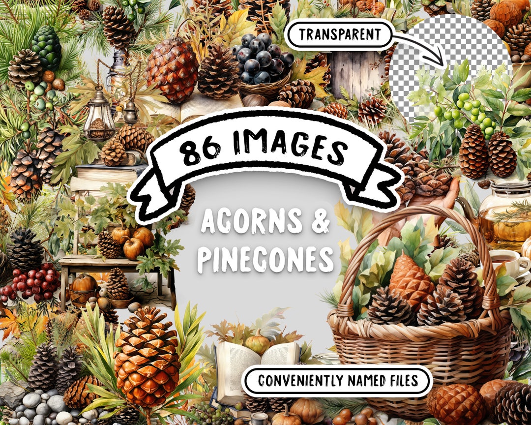 Watercolor Acorns & Pinecones Clipart Bundle - 86 PNG Transparent ...