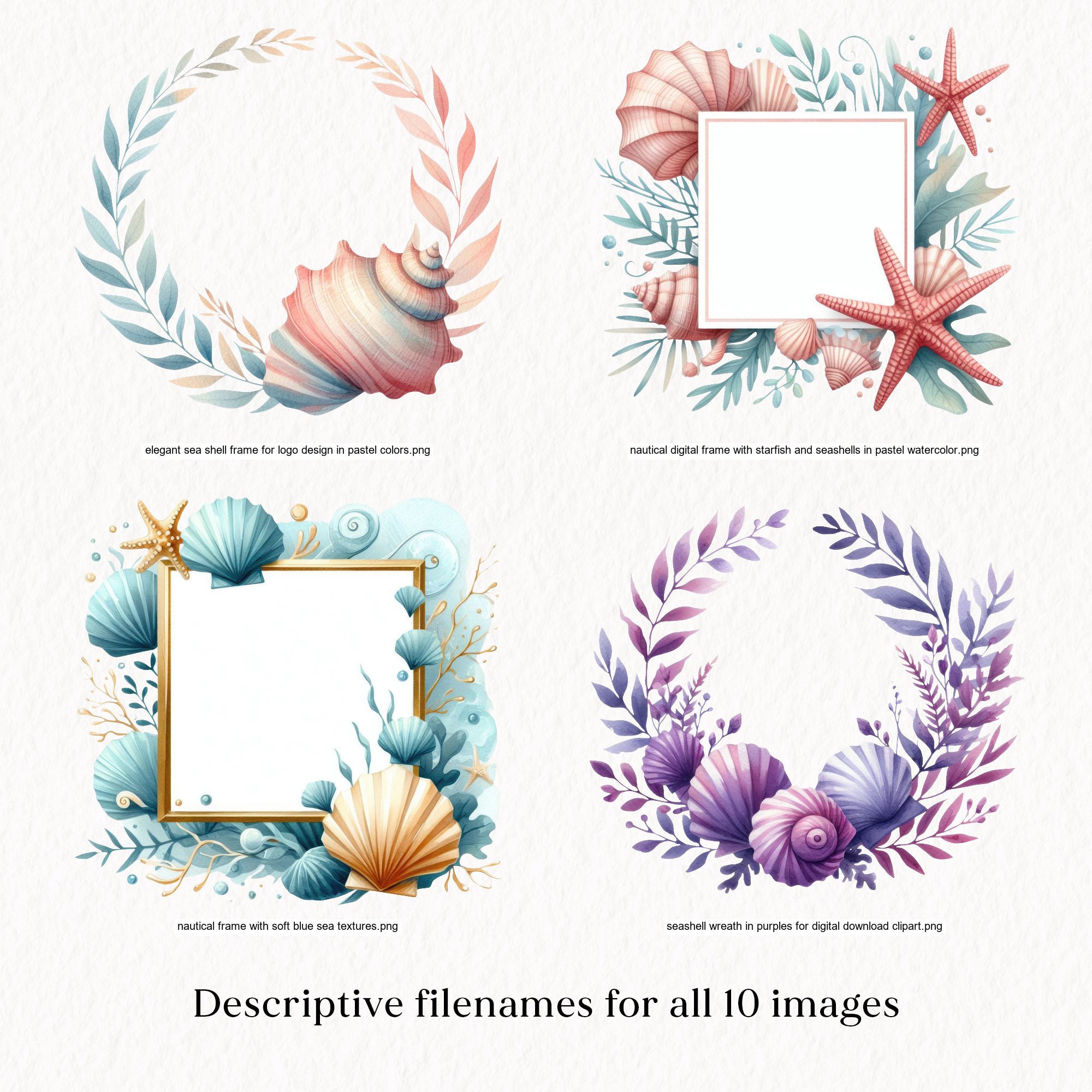 Nautical Watercolor Seashells Frames, Underwater Border PNG, Digital Download Clipart - Etsy