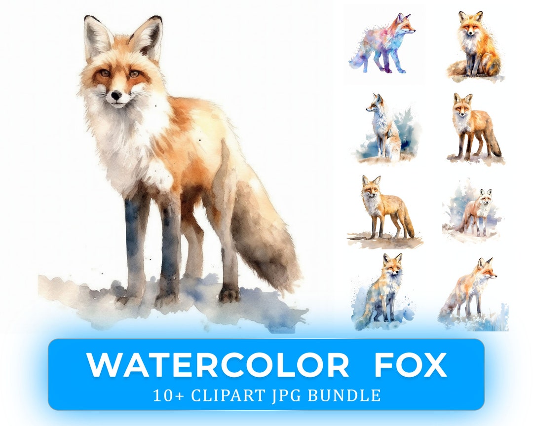 Watercolor Fox Clipart Bundle - High Quality Jpgs - 10+ Designs - Etsy