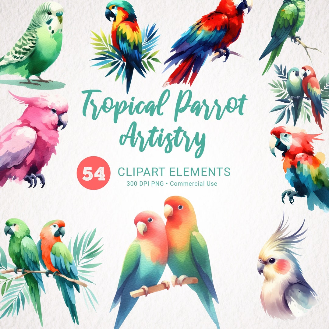 Tropical Parrot Clipart - Watercolor Parrots PNG, Exotic Birds ...