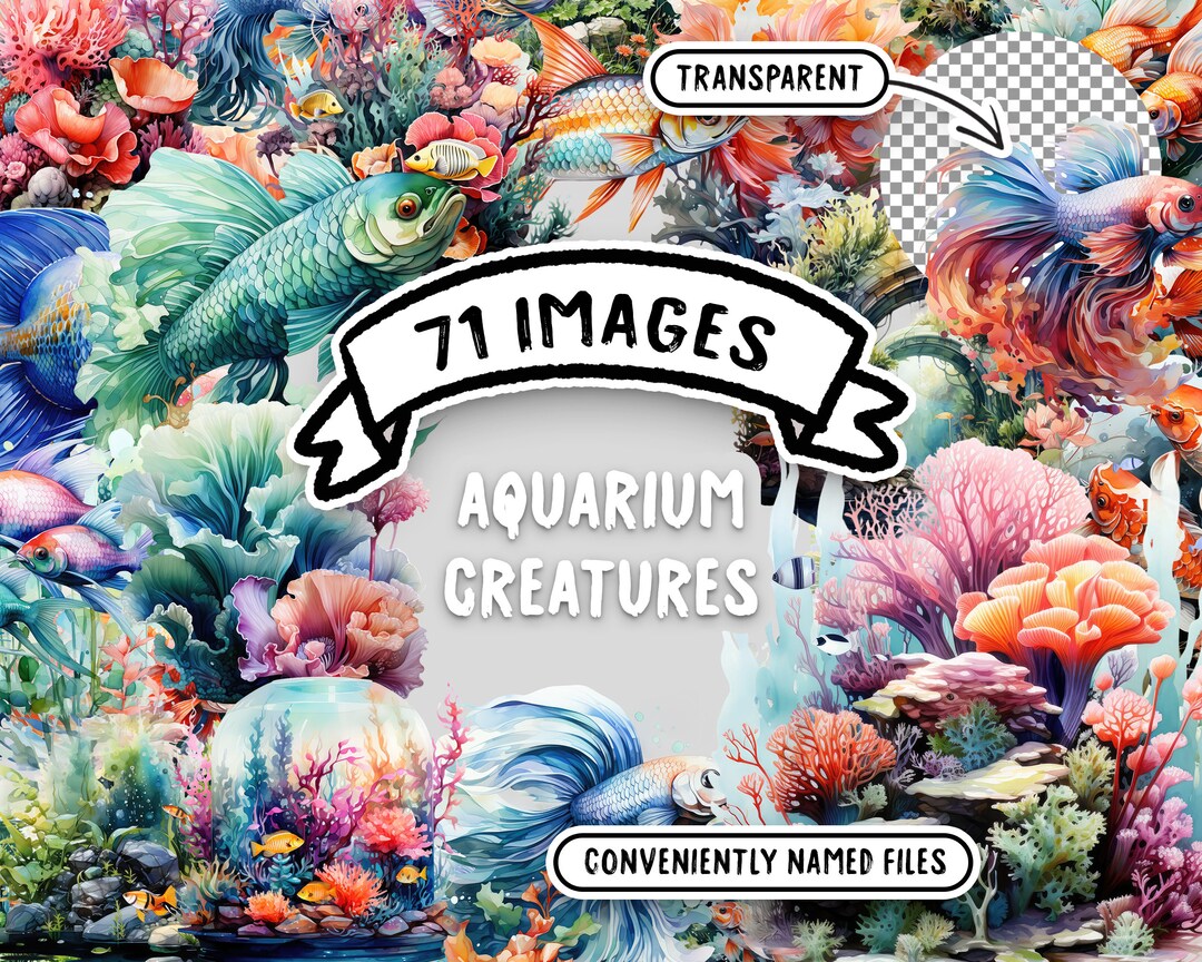 Aquarium Creatures Watercolor Clipart Bundle - 71 Transparent PNG ...