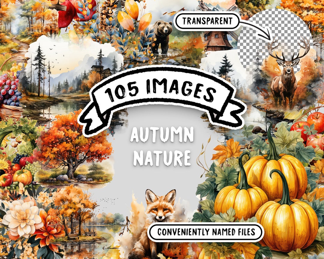 Autumn Nature Watercolor Clipart Bundle - 105 High-quality Pngs ...