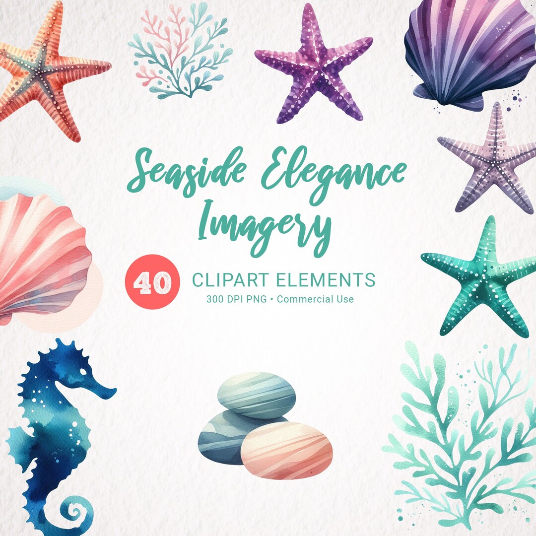 Seashell Watercolor Clipart - Nautical Summer Clip Art - Seahorse ...