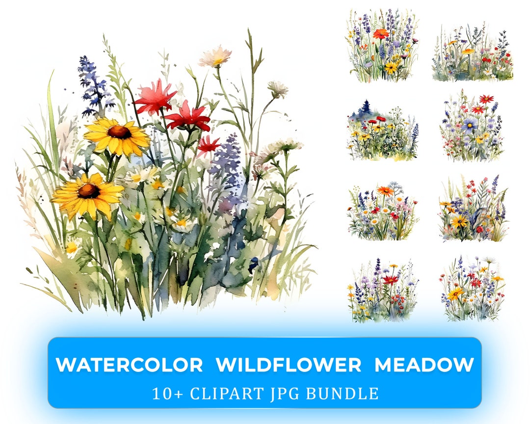 Watercolor Wildflower Meadow Clipart Bundle - 10+ High Quality Jpgs - Etsy