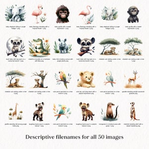Jungle Safari Watercolor Clipart Cute Animals for Baby Shower, Nursery ...