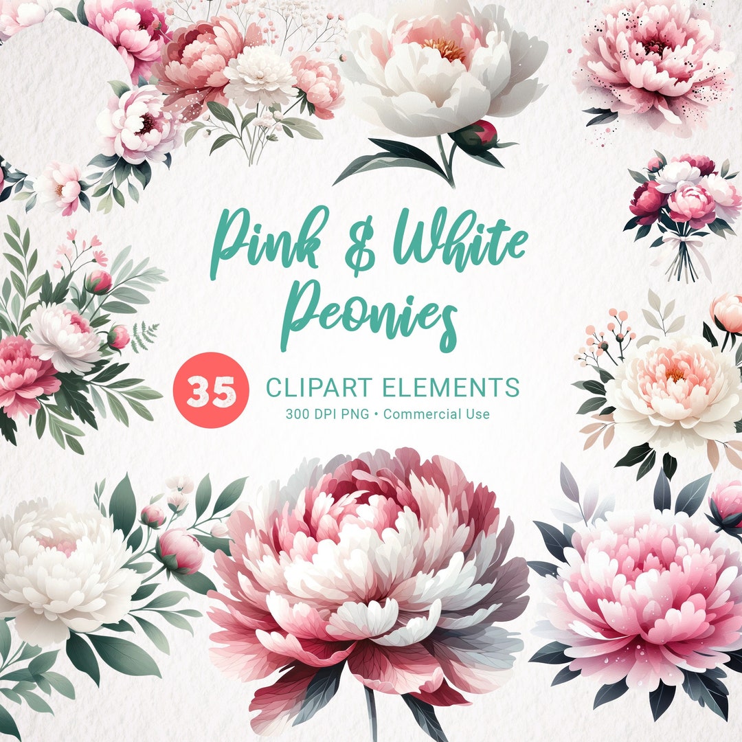 Pink & White Peonies Clipart Bundle - 35 High-quality Watercolor Pngs ...