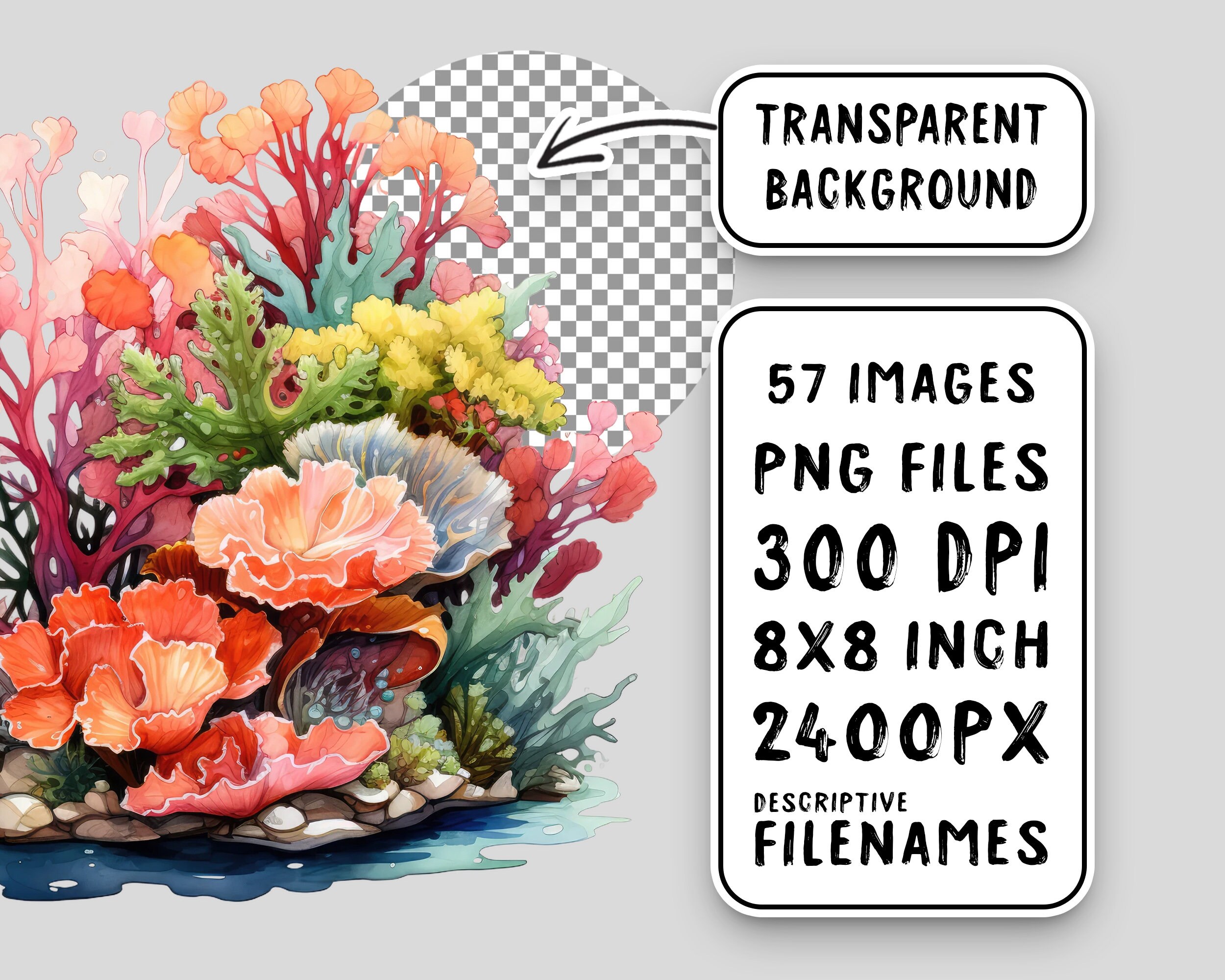 Aquarium Watercolor Clipart Bundle 57 HQ Transparent PNG Images, Sea ...