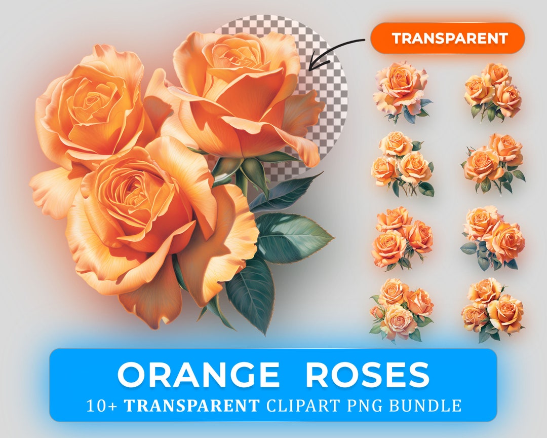 Orange Roses Clipart Bundle PNG | High Quality Sublimation Clipart | 10 ...