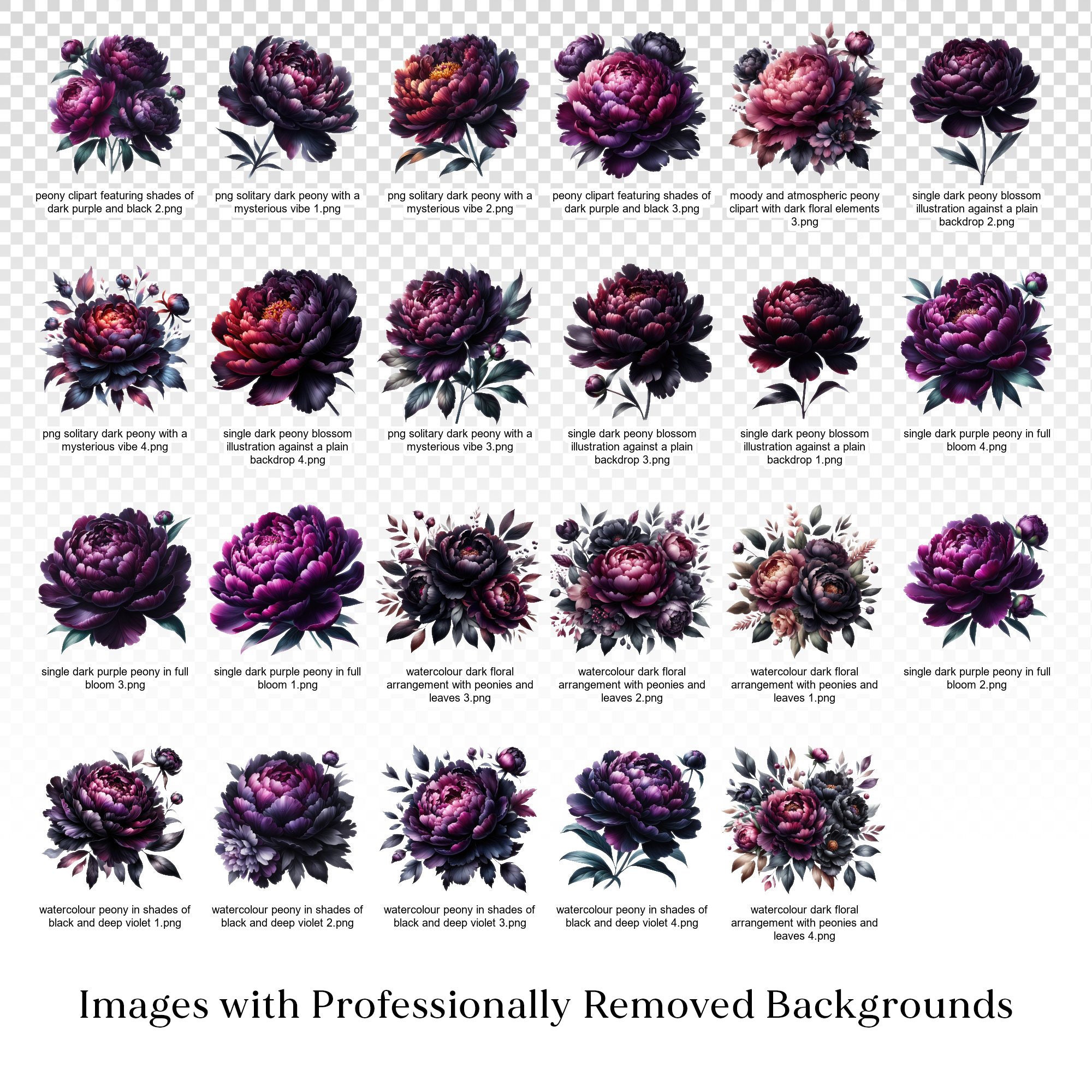 Peony Clipart Watercolor, Dark Peonies PNG, Floral Clipart Watercolour ...