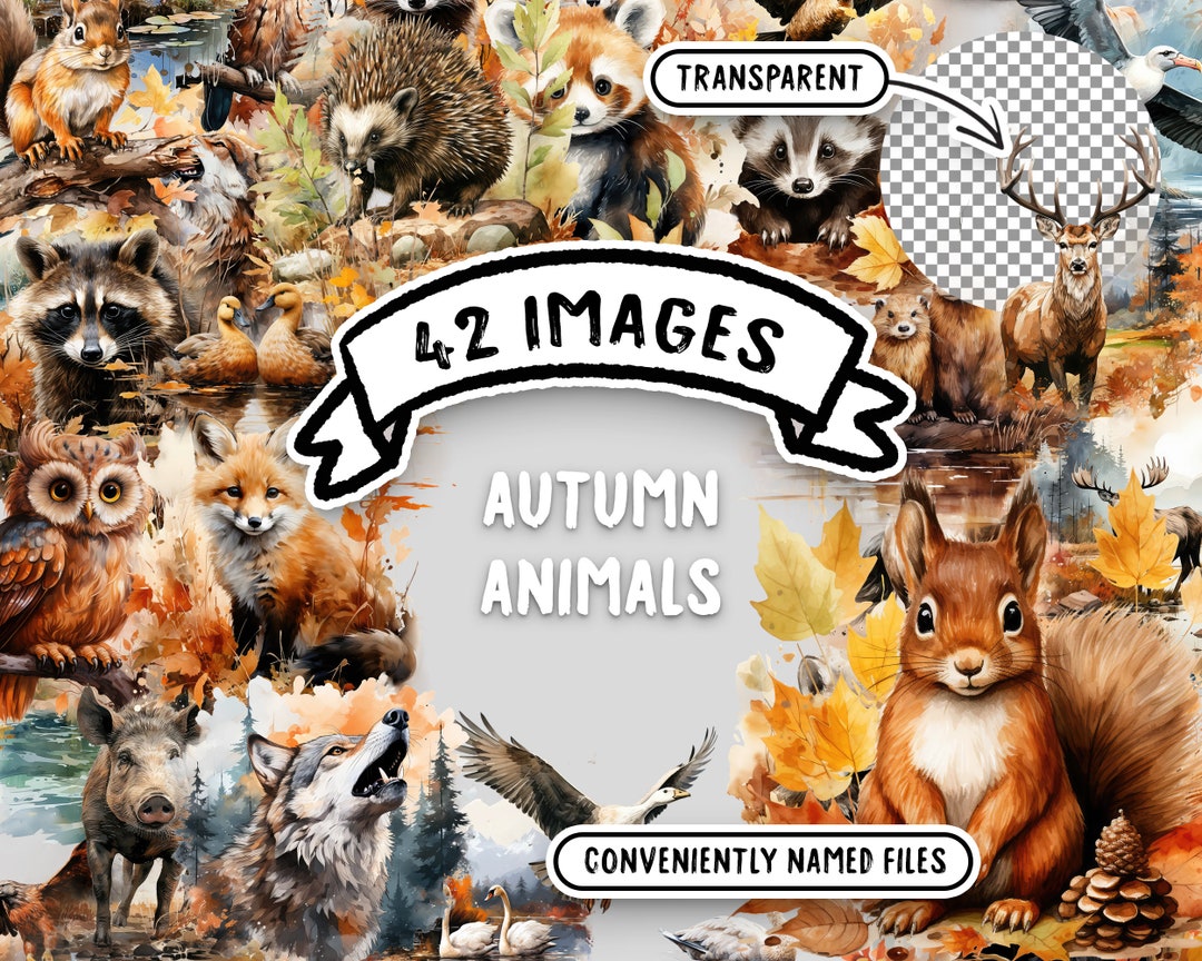 Autumn Animals Watercolor Clipart Bundle - 42 High-quality PNG Images ...