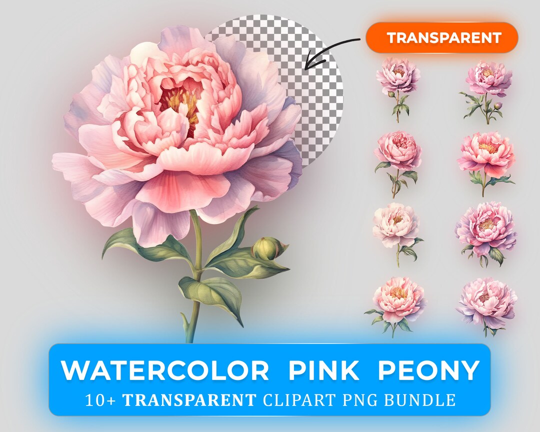 Watercolor Pink Peony Clipart Bundle - 10+ High Quality Pngs for ...