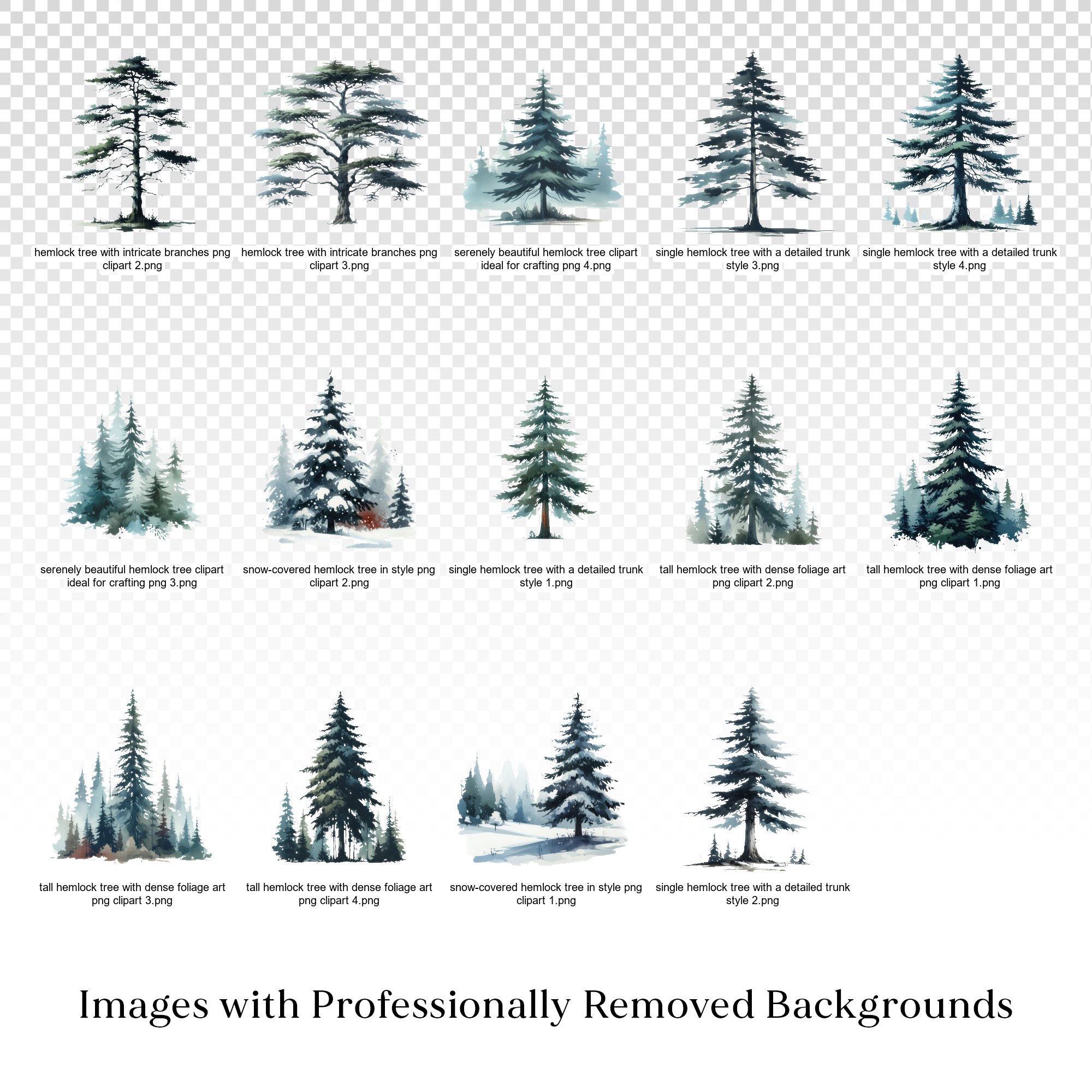 Watercolor Hemlock Tree Clipart Forest Landscape Art PNG, Beautiful ...