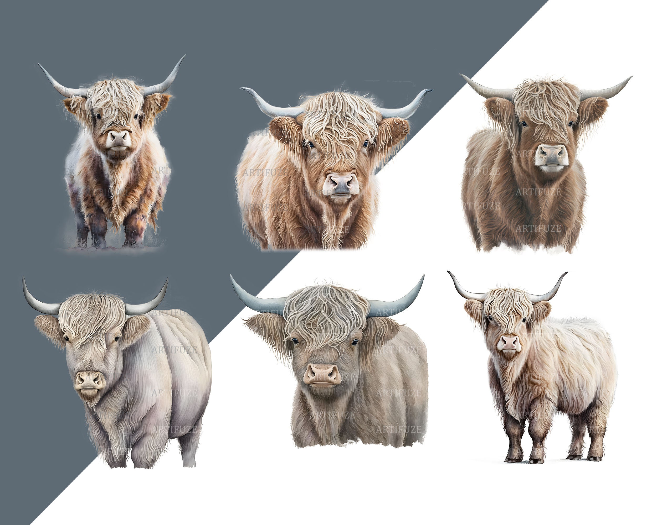 Highland Cow Clipart Bundle PNG 10 High Quality Pngs. - Etsy