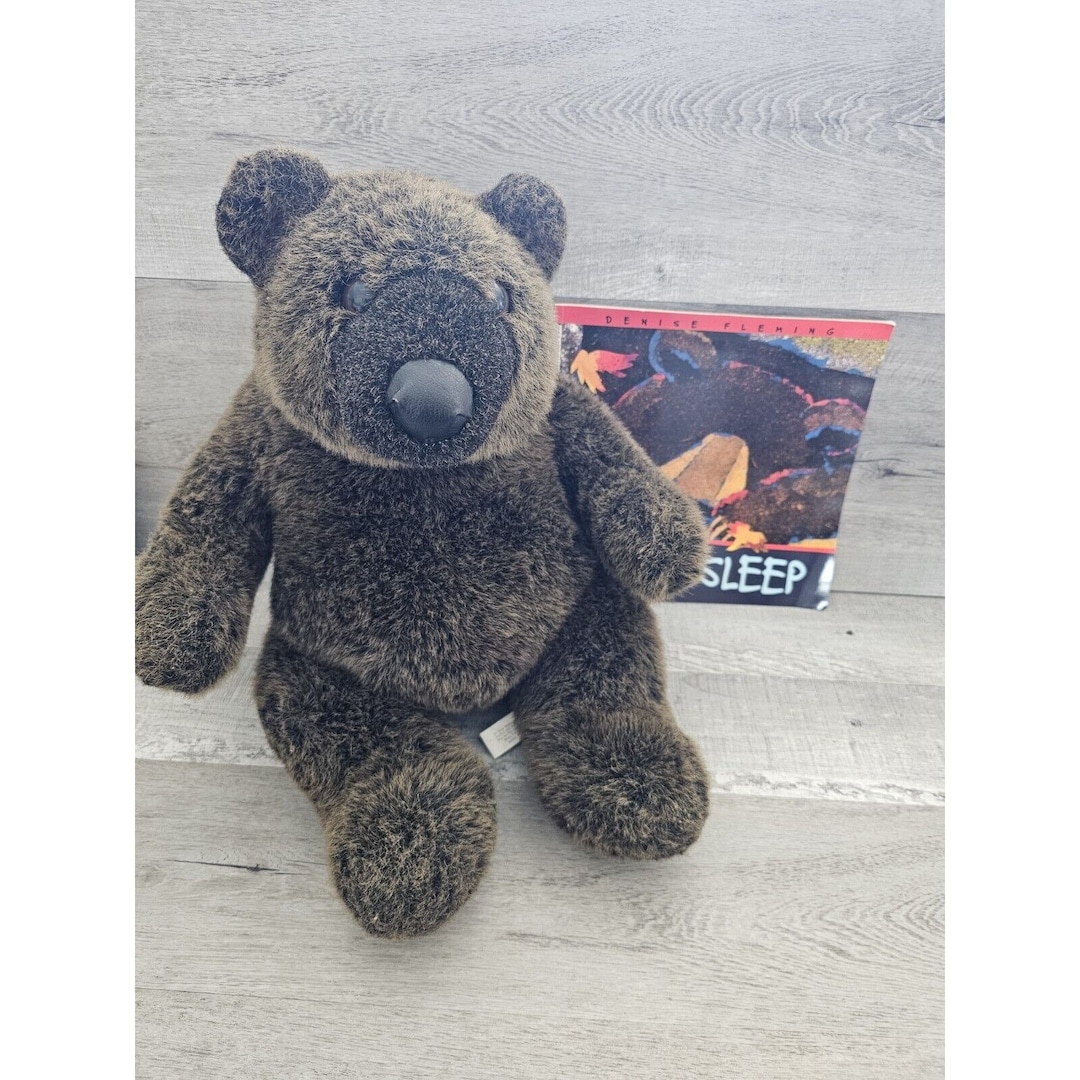 Time to Sleep Book by Fleming, Denise & 14" Plush Realistic Bear LOT - Etsy