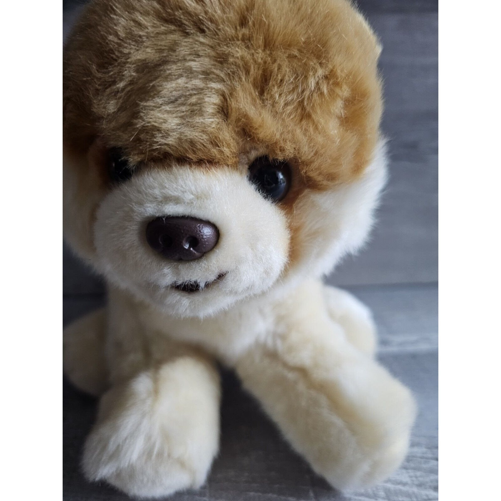Gund Boo World's Cutest Dog Plush Stuffed Animal 4029715 Soft ...